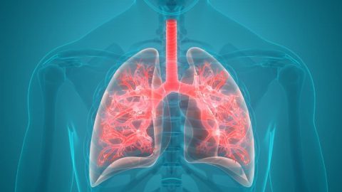 What Is A Respiratory Panel? – TOPLAB®